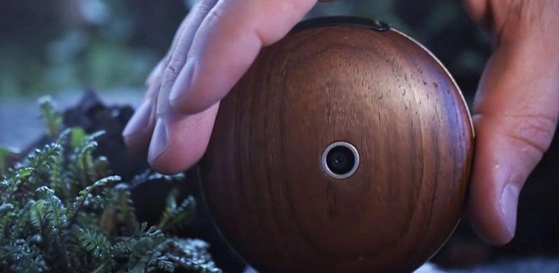 ב-1,500 שקל: הושק הסמארטפון העגול הראשון בעולם - גלובס