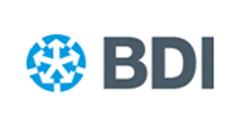 הסתיימה חקירת החשדות למחיקת מידע מדוחות אשראי של BDI - גלובס